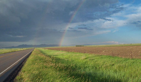 Remote Sensing for Noxious Weed Treatment | Montana Department of ...